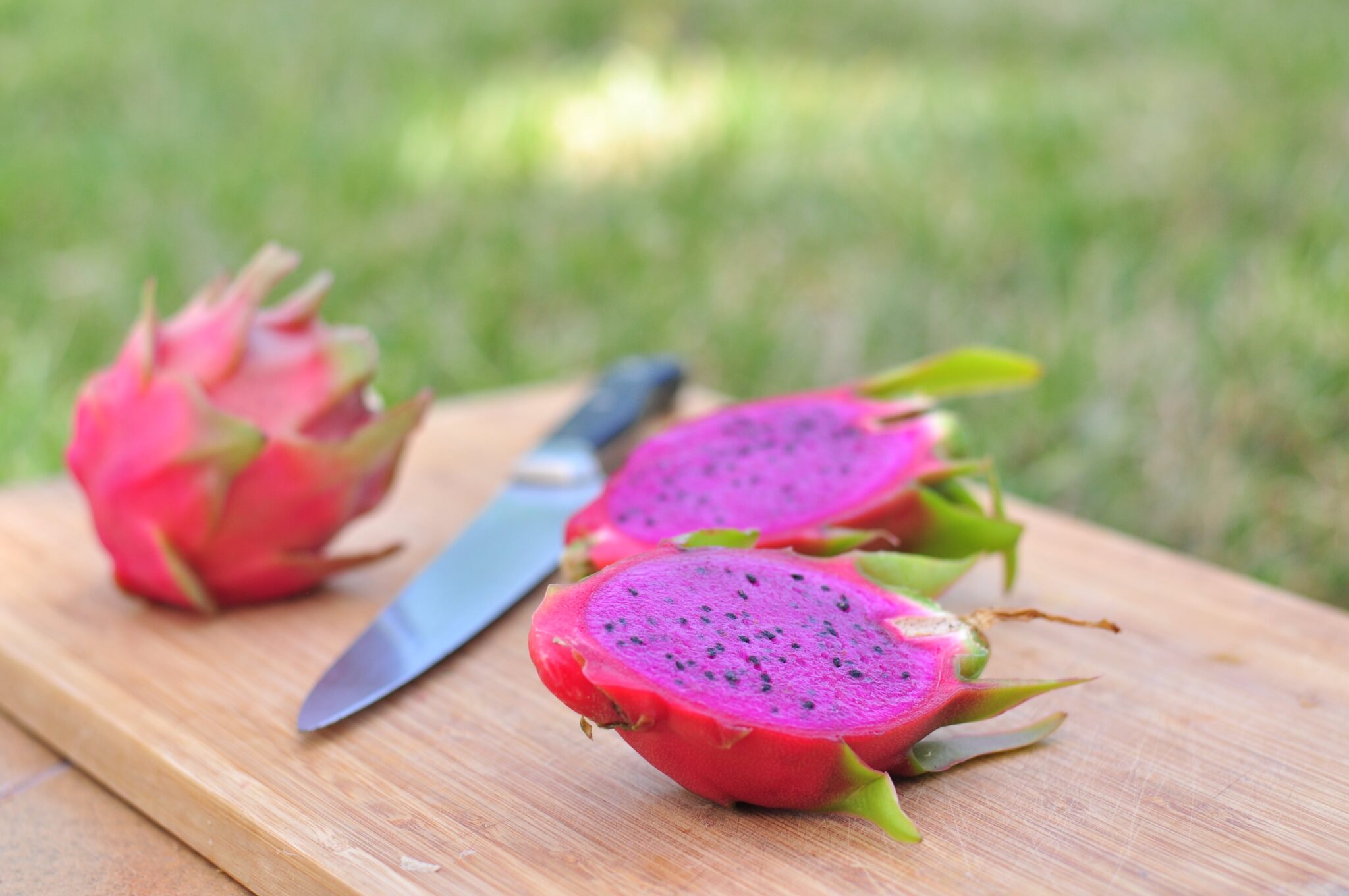 Unveiling the Wonders of the Dragon Fruit Plant - microkilo